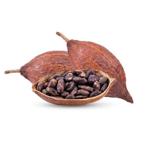 Flojo | Productivity Drink | Boost Focus & Brain Energy