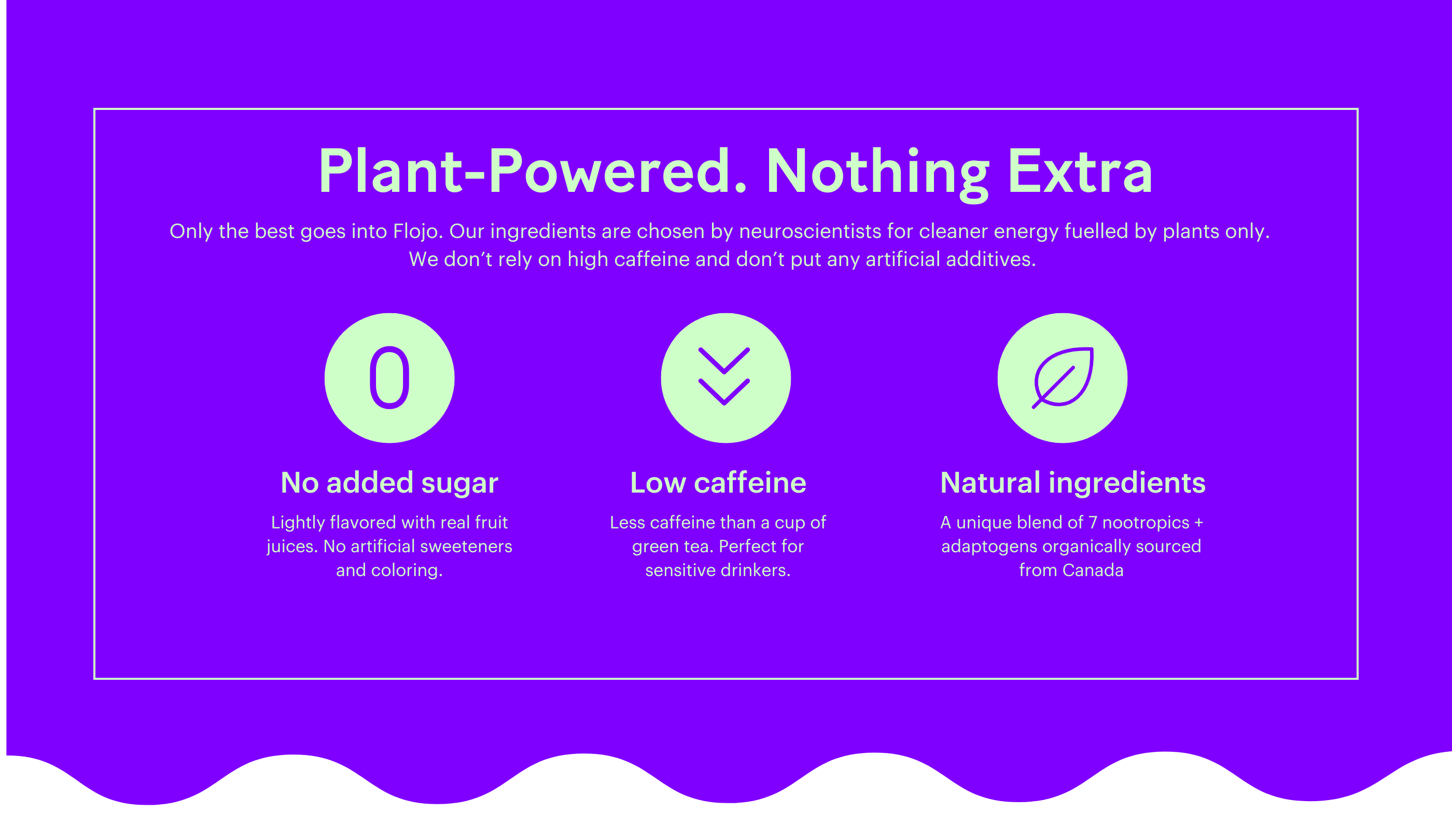Flojo | Productivity Drink | Boost Focus & Brain Energy